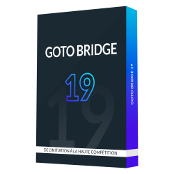 Goto Bridge