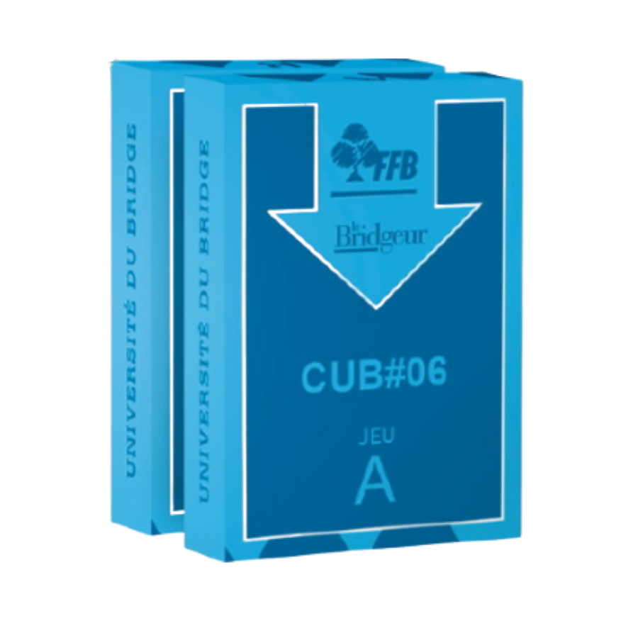 Lot de 2 jeux fléchés CUB 6 : Les premiers plans de jeu de coupe